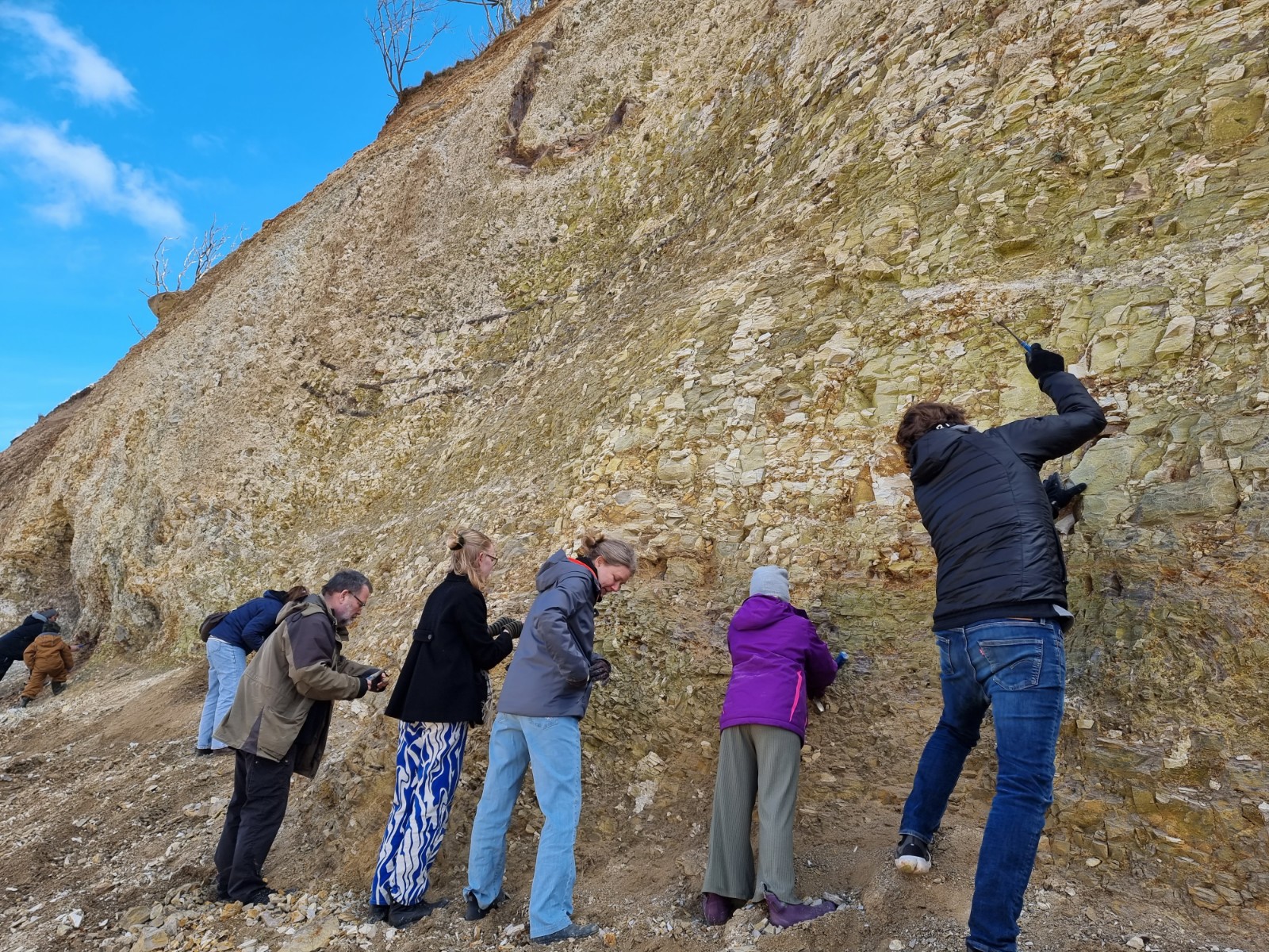 Fossiljagter, forstenede fisk og et mystisk gækkebrev - Mors