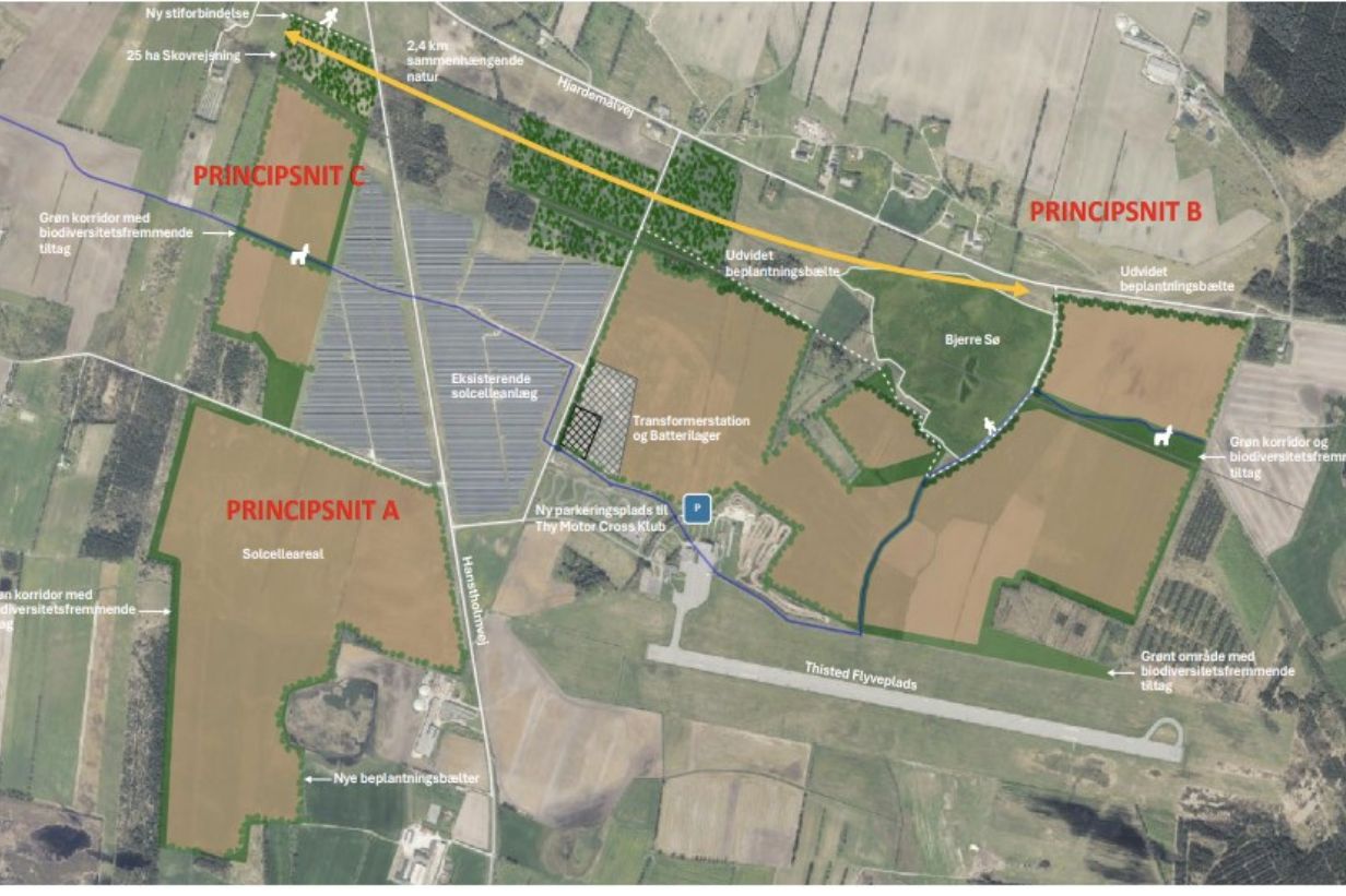 Plan for 200 hektar solceller ved Bjerre: Fem ugers debat om projektet ...